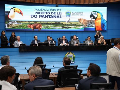 Projeto de Lei do Pantanal é apresentado ao público em audiência na