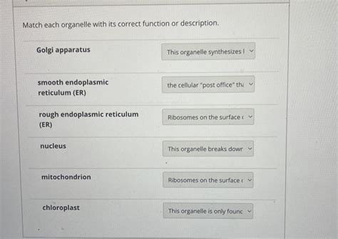 Solved Match Each Organelle With Its Correct Function Or Chegg