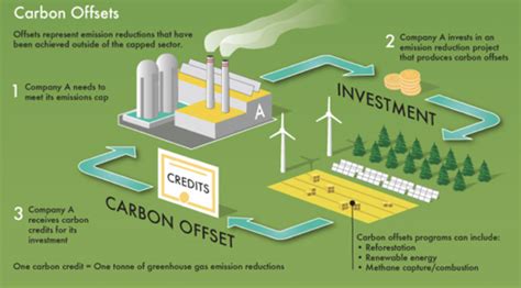 The Pros And Mostly Cons Of Carbon Offsetting Protect Our Winters NZ