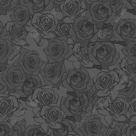 Beautiful Black Rose Flowers Wallpapers For Desktop