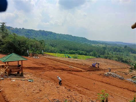 Jual Cepat Tanah Estetik Dengan Konsep Kebun Buah Dan Saung Kayu Wisata