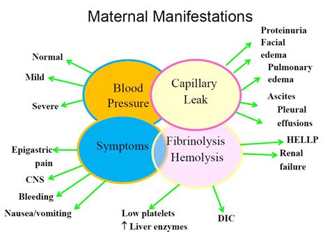 Gestational Hypertension Preeclampsia Cancer Therapy Advisor