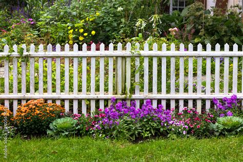 White Picket Fence Surrounded By Garden Flowers In Yard Stock Photo