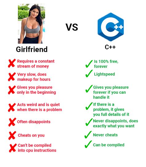 girlfriend vs c r programmerhumor