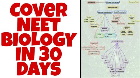 Reproduction In Organism Mindmap Biology In Month Chapter