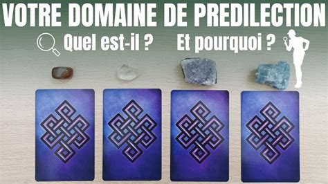 VOTRE DOMAINE DE PREDILECTION Quel Est Il Et Pourquoi Tirage