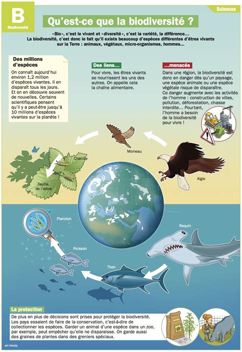 Ecosysteme Marin