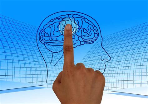 Brain Exercises To Help Keep You Mentally Sharp Top Lifestyle Tricks