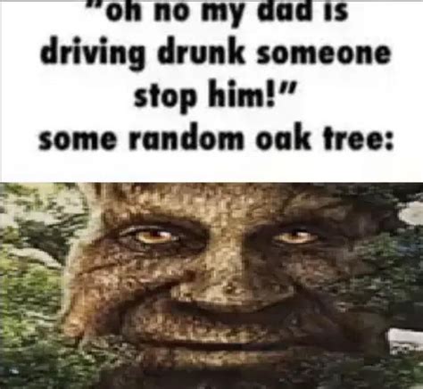Memes About That Wise Mystical Tree Everyone S Seen In Pop Up Ads