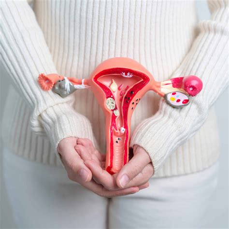 Benefícios da Coadministração de Vitamina D e Probióticos para Mulheres