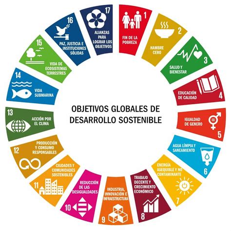 Comprometidos Con El Medio Ambiente Rosabus Empresa De Autocares