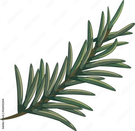Merry Christmas Pine Branch Clip Art Element Decoration Png