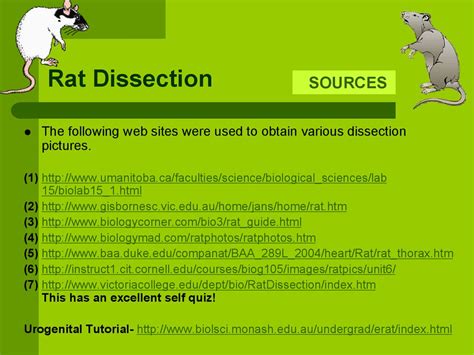 Rat Dissection Online Presentation