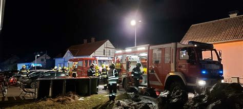Einsatz in Mitterdorf Zwei Katzen bei Zimmerbrand verendet Mürztal