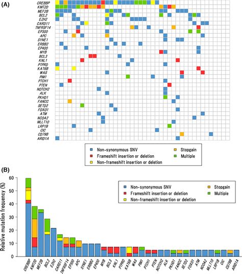 Landscape Of Somatic Mutations A Comutation Plot Showing The
