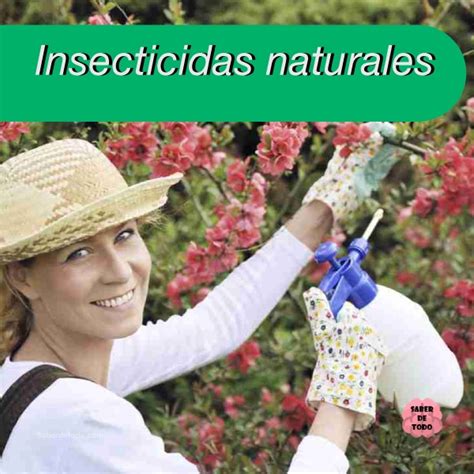 INSECTICIDAS NATURALES elimina toda la plaga y mucho más