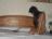 Yuri Vargas The Fappening Nude Leaked Photos The Fappening
