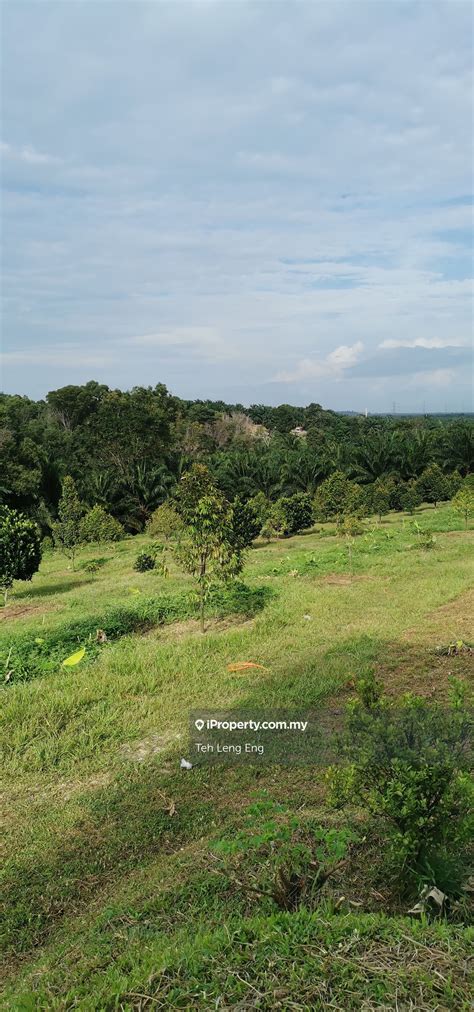 3 ACRES DURIAN FARM Bukit Kerayong Jeram Jeram For Sale RM1250000