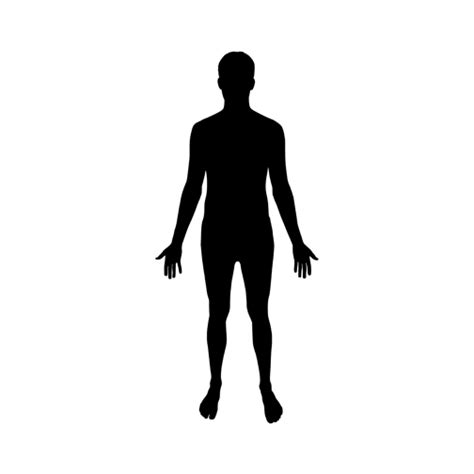 Human Body Silhouette Clip Art Vector Man Woman Sign Body Profile Png