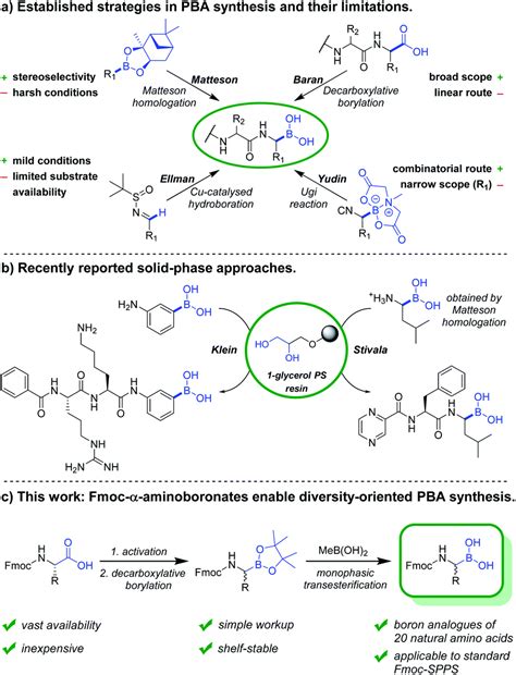 Diversity Oriented Synthesis Of Peptide Boronic Acids By A Versatile