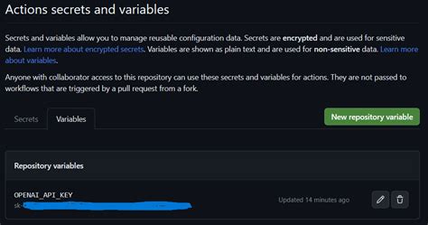 problem didn t get openai api key seted in variables secrets for this repo · issue 104