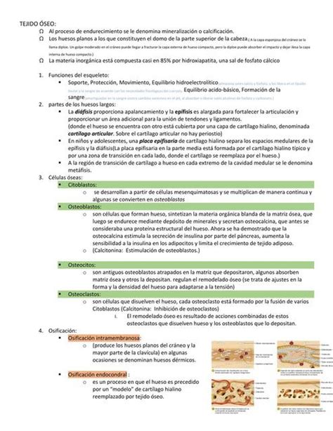 Tejido Seo Presummer Udocz