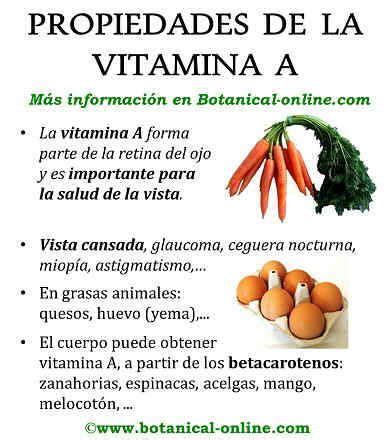 Propiedades De La Vitamina A Alimentacion Nutricional Alimentos