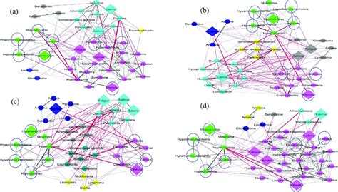 the dsn subjected to the four community detection algorithms based on download scientific