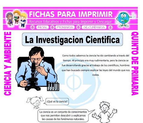 Fichas De Ciencia Y Ambiente Para Quinto De Primaria 31 FICHAS