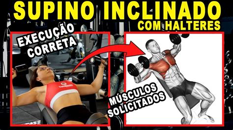 Supino Inclinado Halteres Execu O Correta E M Sculos Solicitados