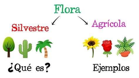 Sistema De La Flor Flora Vector Collection Ilustraci N Del Vector