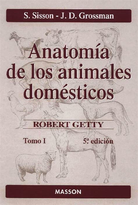 Anatomía de los animales domésticos Tomo I 5ta Edición Robert Getty
