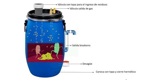Cómo Elaborar un Biodigestor Casero Guía Paso a Paso para la