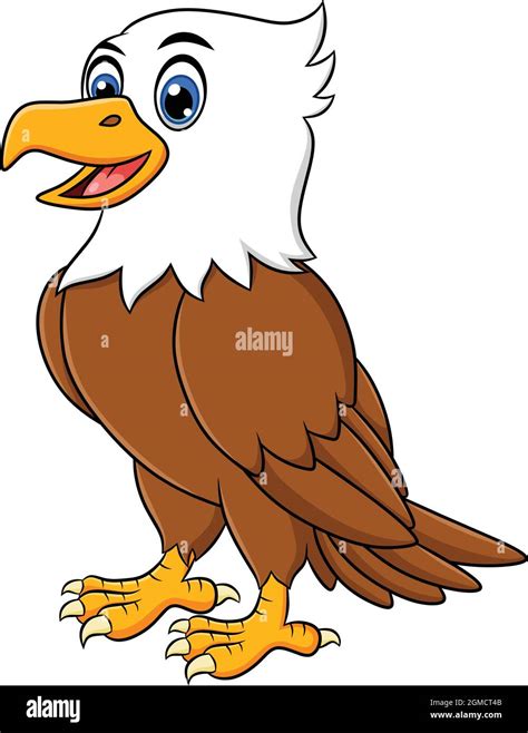Ilustraci N De Vectores De Dibujos Animados De Guila Calva Imagen