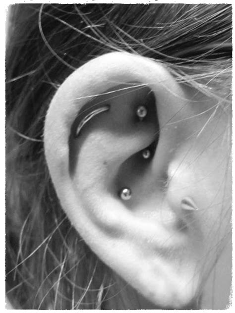 Orbital Rook Inner Conch Piercing Hurt Industries