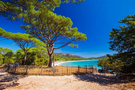 Palombaggia Une Des Plus Belles Plages De Corse