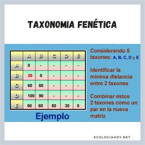 Taxonomia Qu Es Ejemplos Y Tipos Ecolog A Hoy
