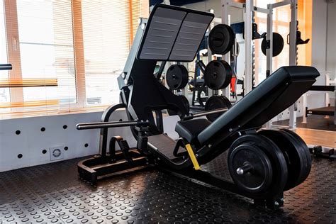 Treino leg press 90º quais músculos trabalham diferenças e mais
