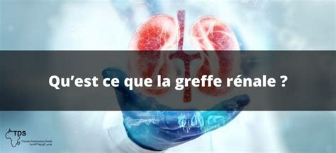 Greffe R Nale Comprendre La Proc Dure Et Ses Implications