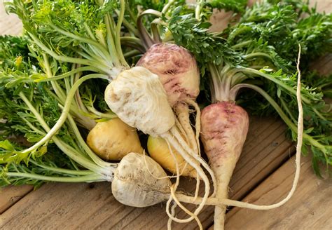 Perder peso desintoxicarse y aumentar la libido qué alimento lo hace