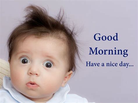 Top Funny Good Morning Quotes With Images Amazing Collection
