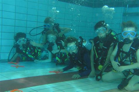 Snuffelduik Bij Zwembad De Waterkanten In Lisse