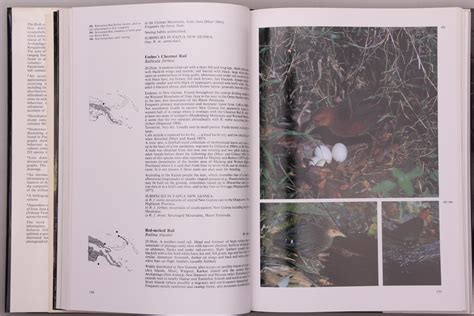 THE BIRDS OF PAPUA NEW GUINEA VOLUME I Including The Bismark