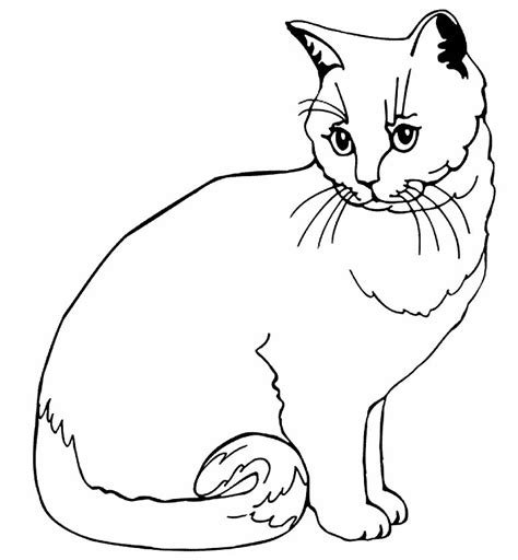 Aprender Sobre Imagem Desenhos De Gatinho Para Imprimir Br