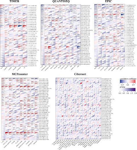 Figure 2 From An Integrative Pan Cancer Bioinformatics Analysis Of