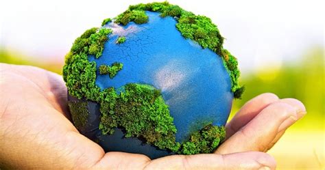 Plano de aula sobre meio ambiente educação infantil na escola