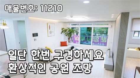 안산신축빌라 사동 공원바라보는 조망 너무 이쁜 YouTube