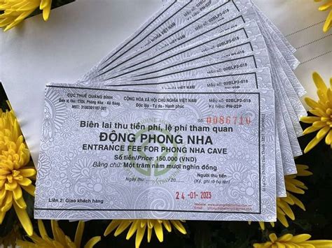 Phong Nha Entrance Fee 2024 Of Ecotourism Sites Phong Nha Cave Tours