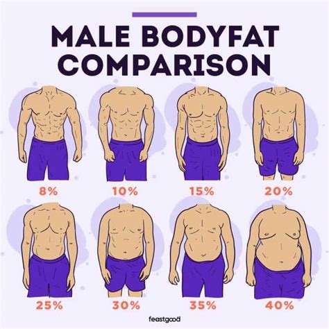 Body Recomposition Calculator Lose Fat While Gaining Lean Muscle