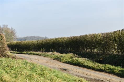 Wood Dalling Crabgate Lane South Michael Garlick Cc By Sa